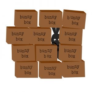 Bunny Box Subscription | Bunny Box Rabbit Subscription Box
