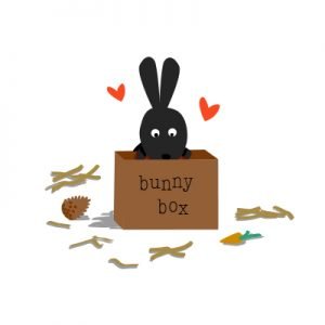 Products | Bunny Box Rabbit Subscription Box