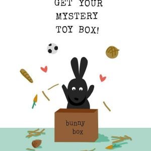 Bunny Box Subscription | Bunny Box Rabbit Subscription Box